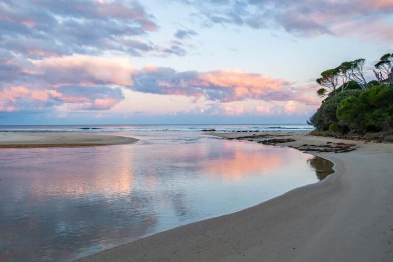 Koalas, Kangaroos and Lyrebirds - Discovering Mallacoota’s Natural Beauty and Wildlife