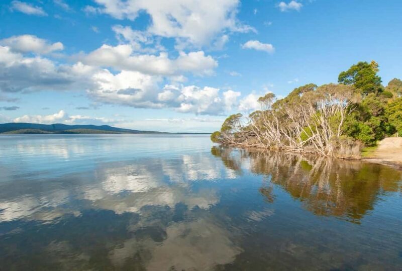 Koalas, Kangaroos and Lyrebirds - A Glimpse into Local History