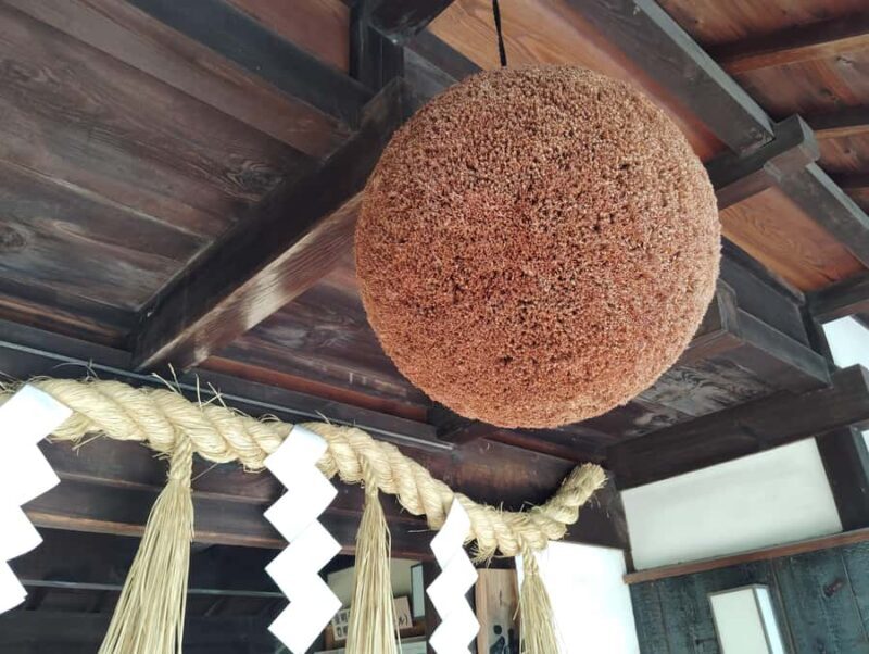 Kobe: 3-Hour Sake Breweries Guided Tour with Tastings - Who Should Book This Tour?