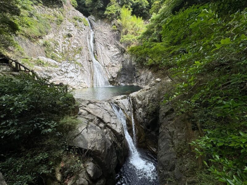 Kobe: Complete Guided Tour of the Mountain Side of Kobe - Final Thoughts