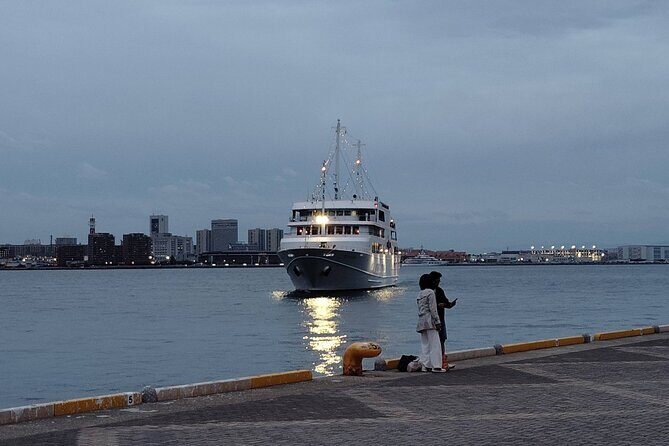Kobe: Glamorous Harbor Lights & Tower Panorama - Final Thoughts: Who Will Get the Most from This Experience?