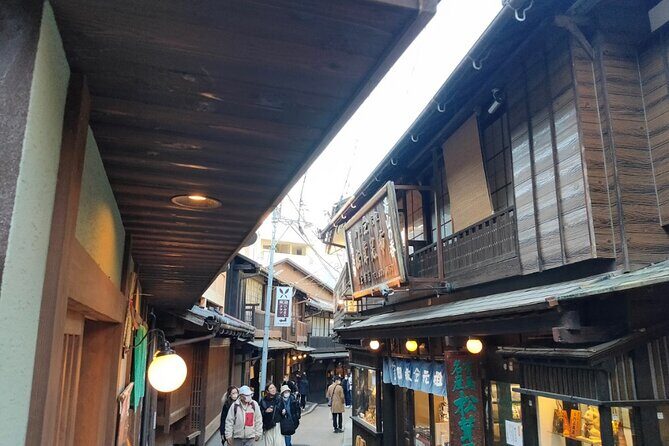 Kobe Guided Tour Including Port Area and Arima Onsen Town - Who Should Consider This Tour?