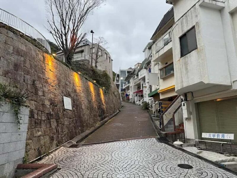 Kobe: Guided Walking Tour with Kobe Beef Lunch - Who Should Consider This Tour?