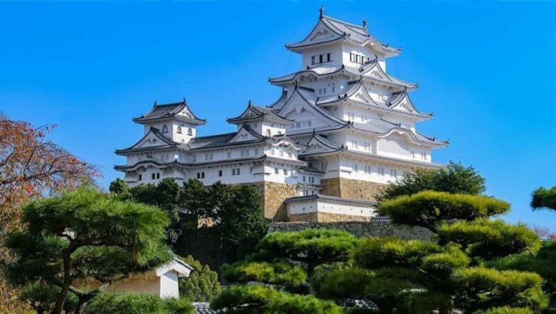 Kobe/Himeji: Must-see Spots Full Day Tour with Hotel Pickup - Key Points