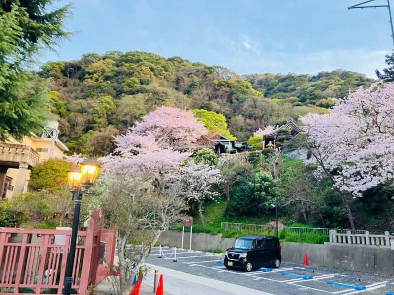 Kobe & Himeji: Private Custom Tour With Driver and vehicle - Introduction: What’s This Tour All About?