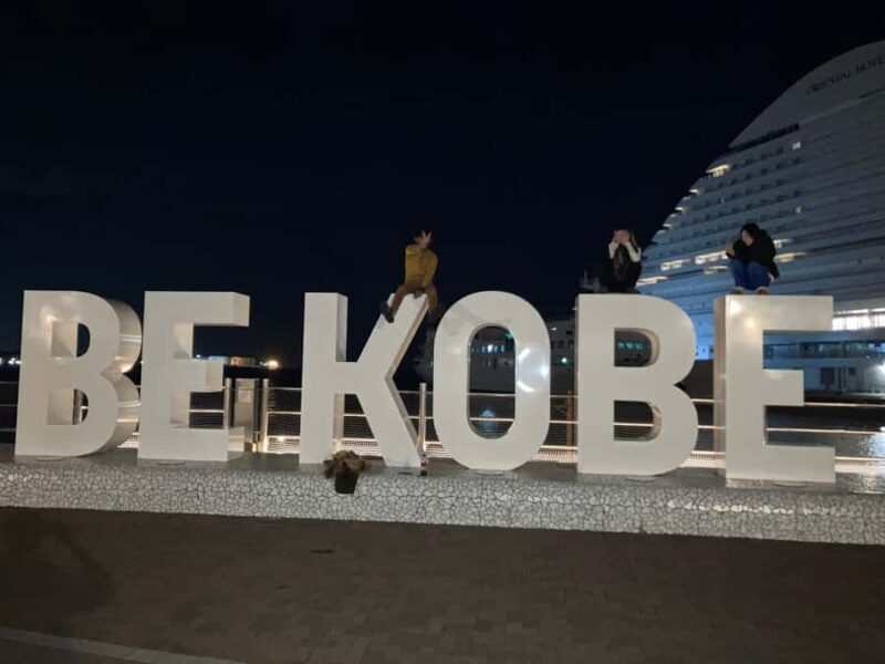 Kobe & Himeji: Private Custom Tour With Driver and vehicle - What’s It Like to Travel This Way?