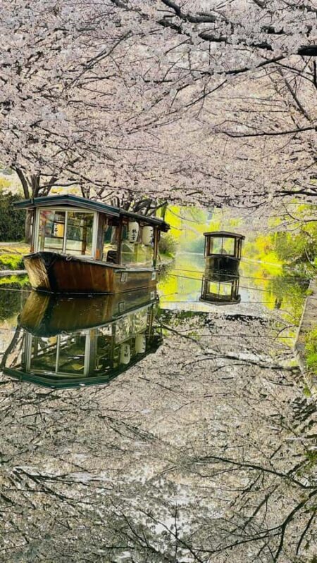 Kobe & Himeji: Private Custom Tour With Driver and vehicle - Final Thoughts