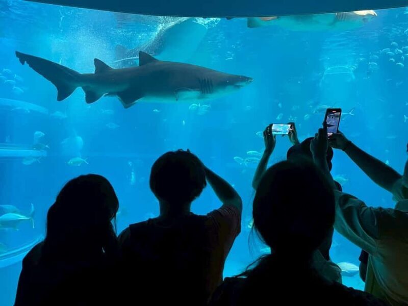 Kobe & Himeji: Private Day Tour with English Driver & Pickup - The Experience for Travelers