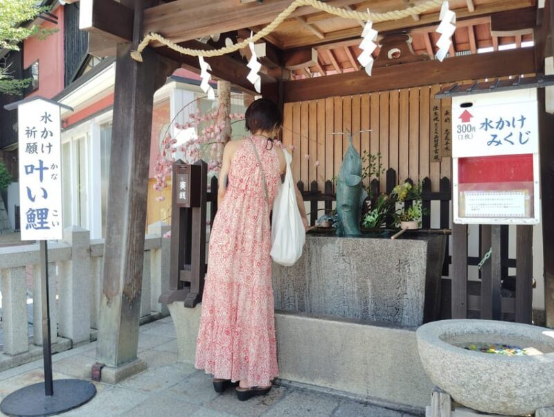 Kobe: Immerse Yourself in the History and Nature of Kobe - What to Expect: Practical Tips