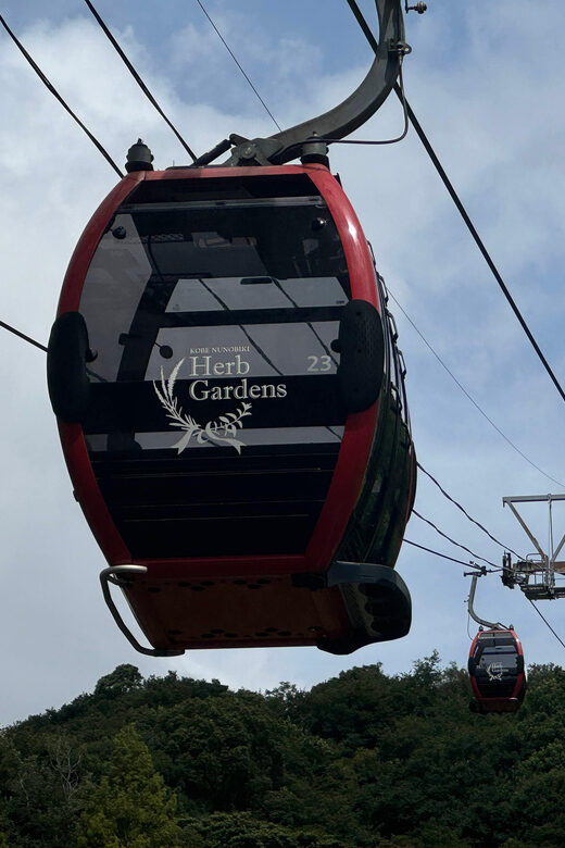 Kobe: Immerse Yourself in the History and Nature of Kobe - Final Thoughts: Who Will Love This Tour?