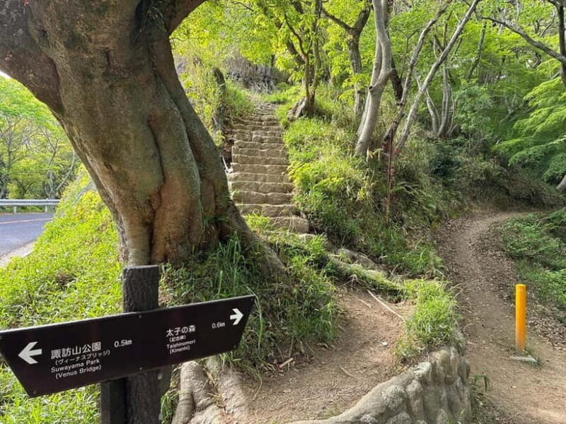 Kobe: Night Hike Adventure and local dining experience tour - Practical Details and Value