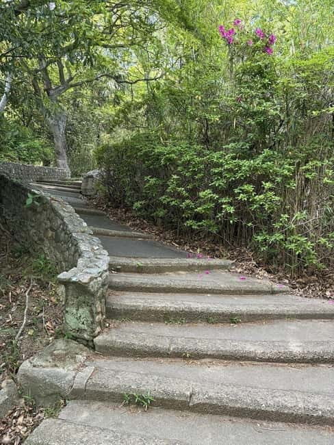 Kobe: Night Hike Adventure and local dining experience tour - Who Is This Tour Best For?