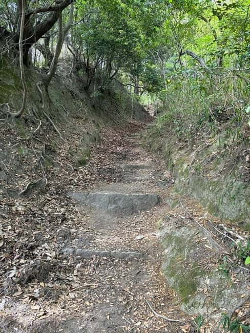 Kobe: Night Hike Adventure and local dining experience tour - The Sum Up