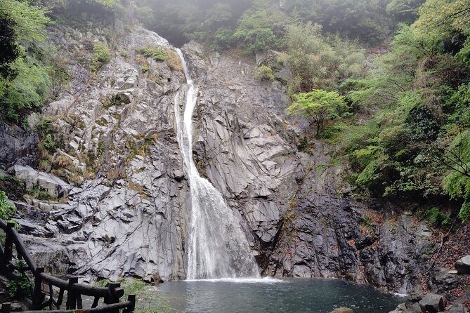 Kobe Nunobiki Falls Morning Guided Hike - Why Choose the Kobe Nunobiki Falls Morning Guided Hike?