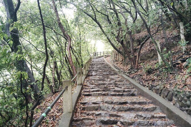 Kobe Nunobiki Falls Morning Guided Hike - The Experience: Why It Works