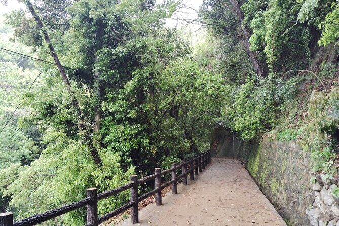 Kobe Nunobiki Falls Morning Guided Hike - Who Will Love This Tour?