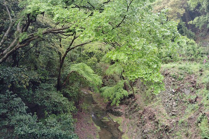 Kobe Nunobiki Falls Morning Guided Hike - Frequently Asked Questions