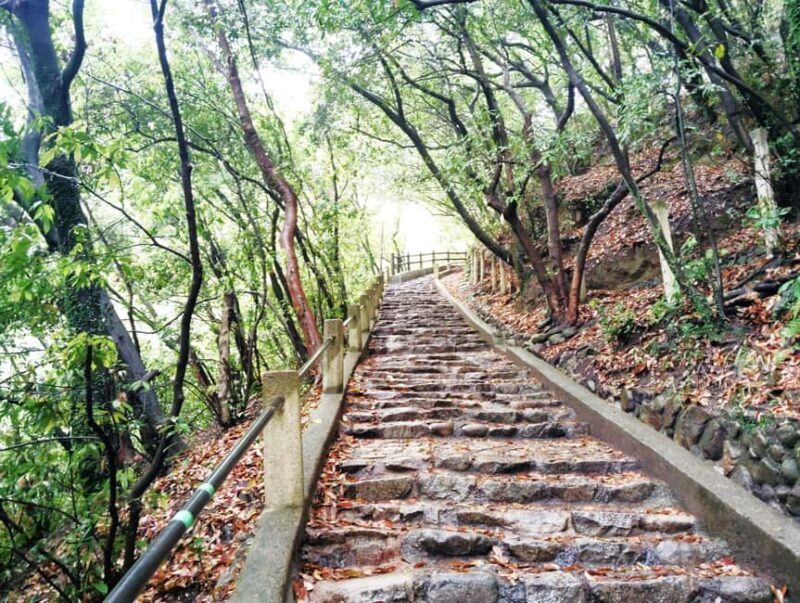 Kobe: Nunobiki Falls Morning Guided Hike - Why This Tour Is Worth Considering