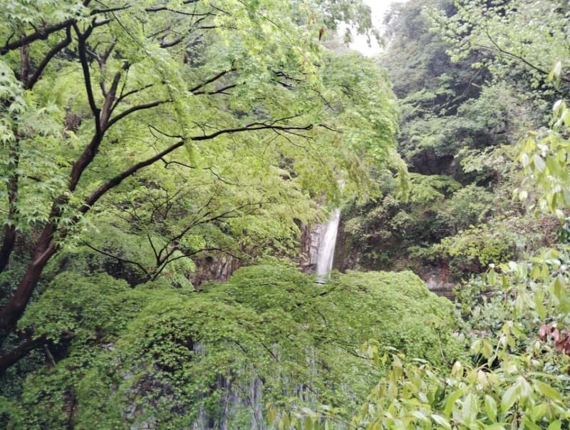 Kobe: Nunobiki Falls Morning Guided Hike - Who Should Consider This Tour
