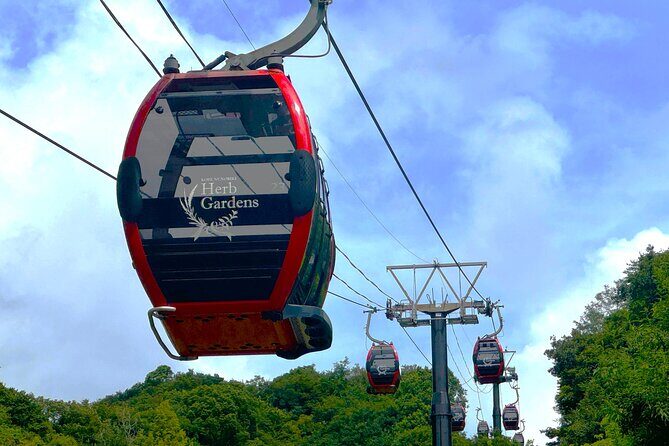 Kobe Private Custom Walking Tour - Final Thoughts