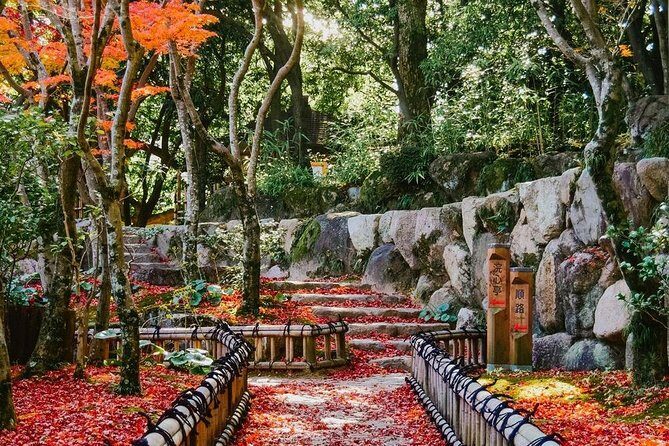 Kobe Private Customizable Full Day Tour - The Sum Up