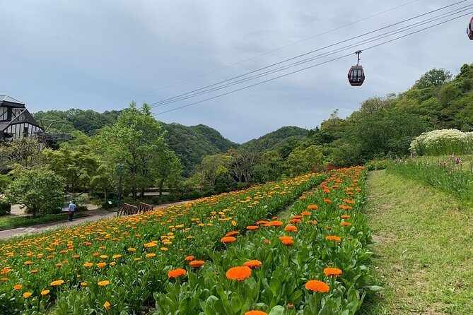 Kobe private tour from Osaka (Shore excursion available from Osaka or Kobe port) - Authentic Experiences and Guest Feedback