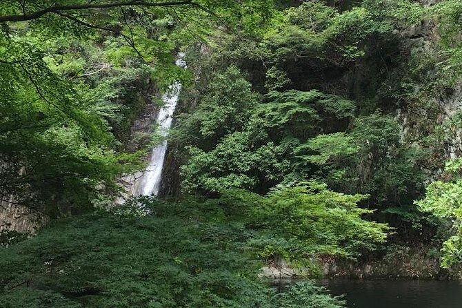 Kobe private tour from Osaka (Shore excursion available from Osaka or Kobe port) - FAQ