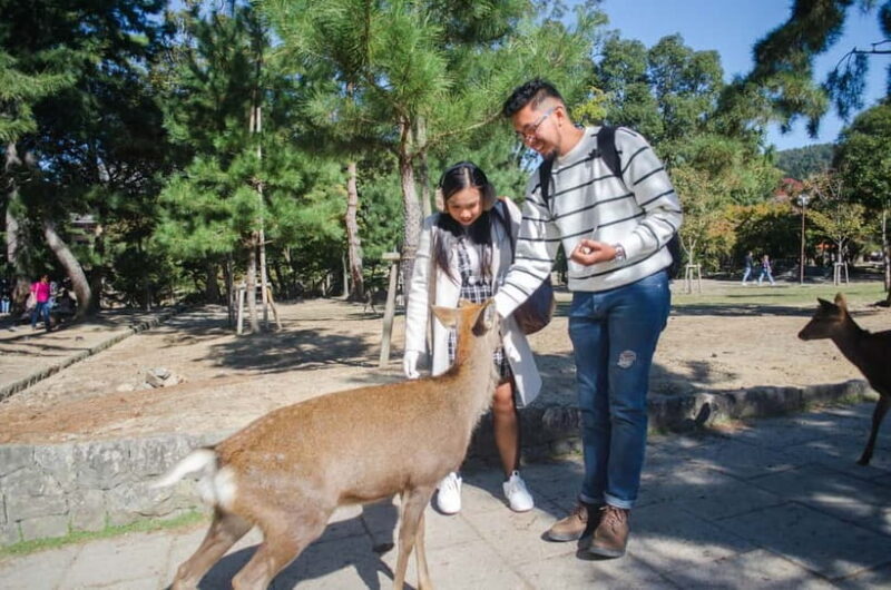 Kobe: Private Walking Shore Excursion- Kyoto/Osaka/Nara/Kobe - Introduction