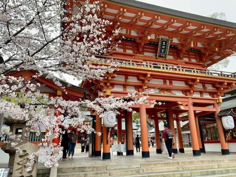 Kobe: Private Walking Tour with a Local Guide - An In-Depth Look at the Kobe Private Walking Tour