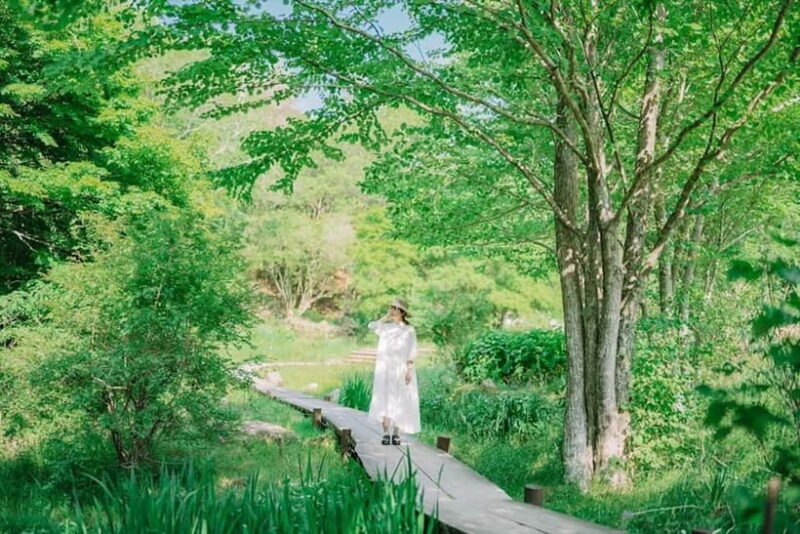 Kobe: Rokko Forest Sound Museum Admission Ticket - Practical Details and Tips