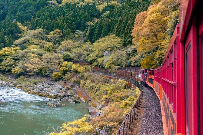 Kobe Shore Excursion to Kyoto: Private Tour with Local Guide - Final Thoughts