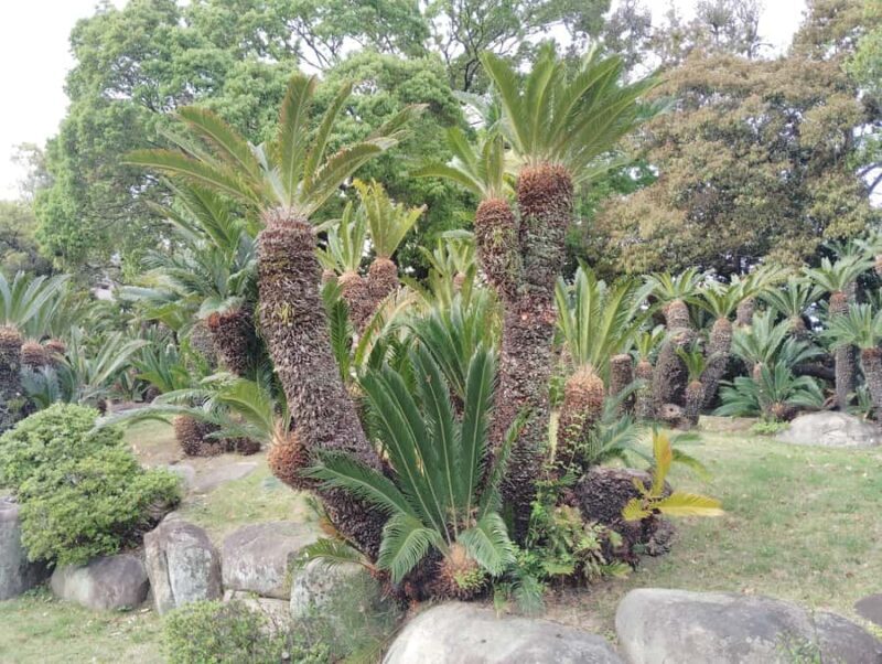 Kobe: Sorakuen Garden Guided Walking Tour - What to Expect During the Tour