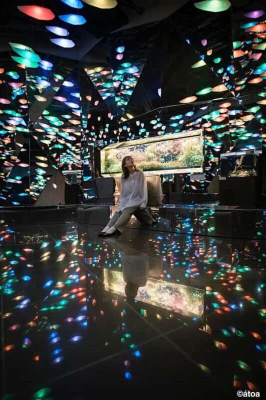 Kobe: Urban Aquarium AQUARIUM×ART átoa Entry Ticket - What To Expect During Your Visit