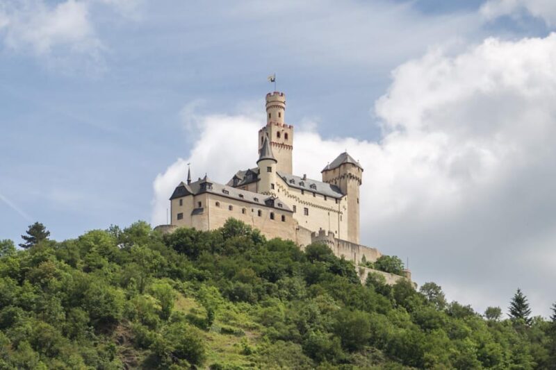 Koblenz: Rhine Valley Castles and Palaces Boat Tour - Who Will Love This Experience?