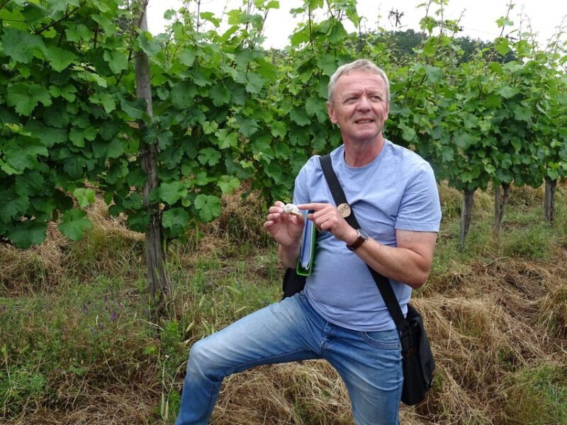 Koblenz: The Living Vineyard, Nature & Wine Enjoyment - Key Points