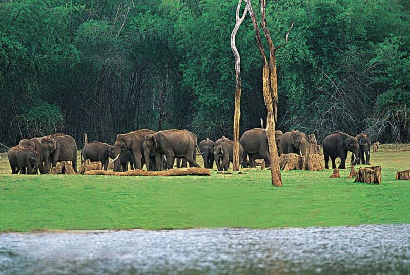Kochi:- 03 Days Periyar Wildlife With Mararikulam Beach Tour - Exploring the Itinerary in Detail