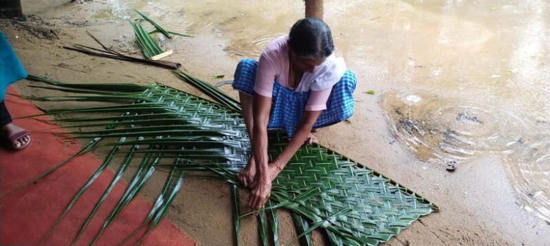 Kochi: Backwater Exploration in Village: Free Pickup & Drop - Key Points