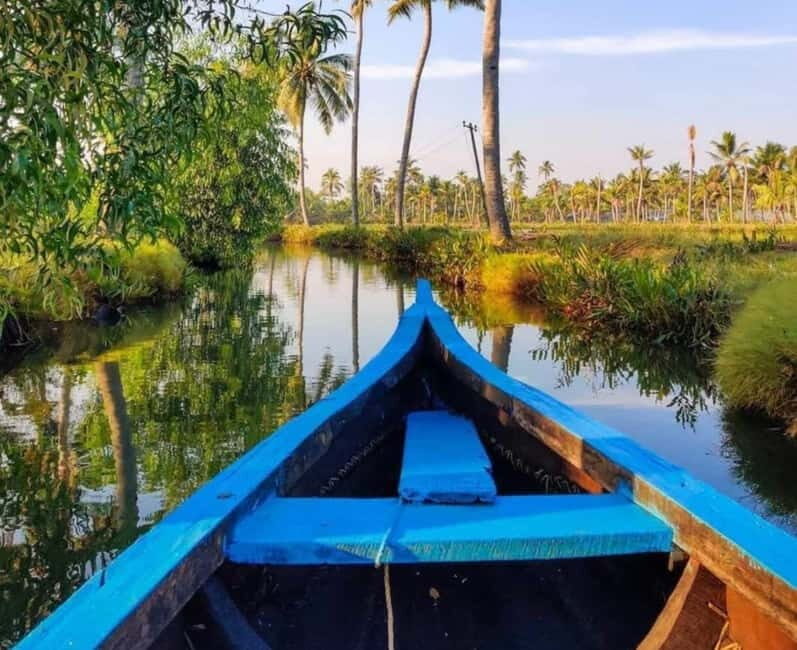 Kochi: Backwater Exploration in Village: Free Pickup & Drop - Enchanting Kerala Backwaters: What It’s All About