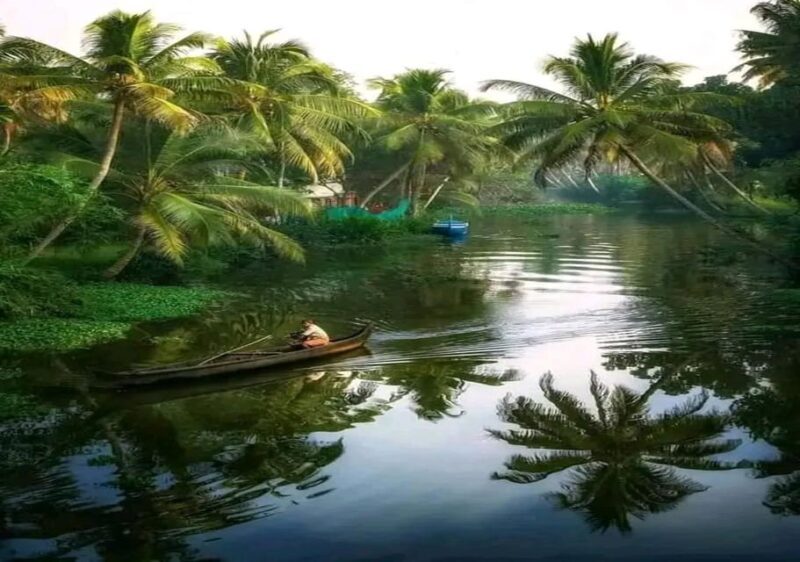 Kochi: Backwater Exploration in Village: Free Pickup & Drop - What Travelers Say