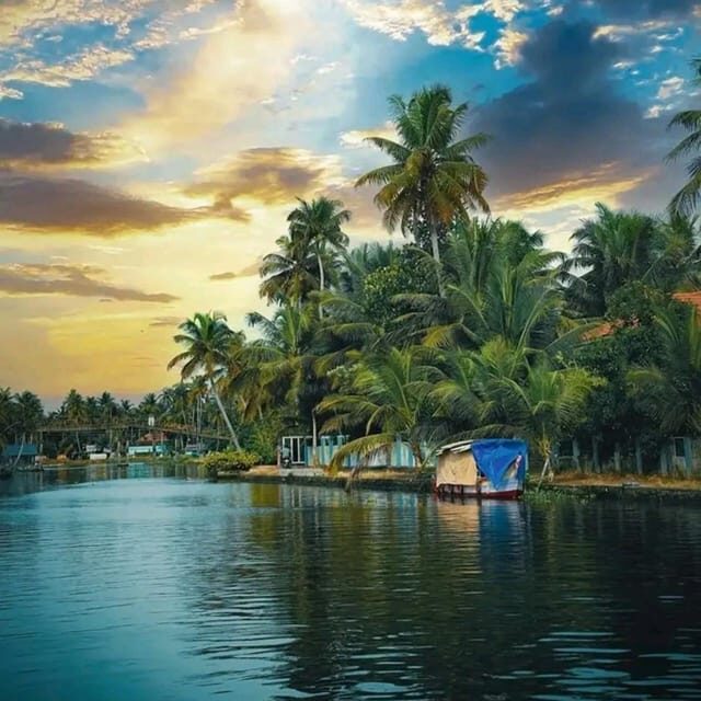Kochi: Backwater Exploration in Village: Free Pickup & Drop - Final Thoughts: Who Will Love This Tour?