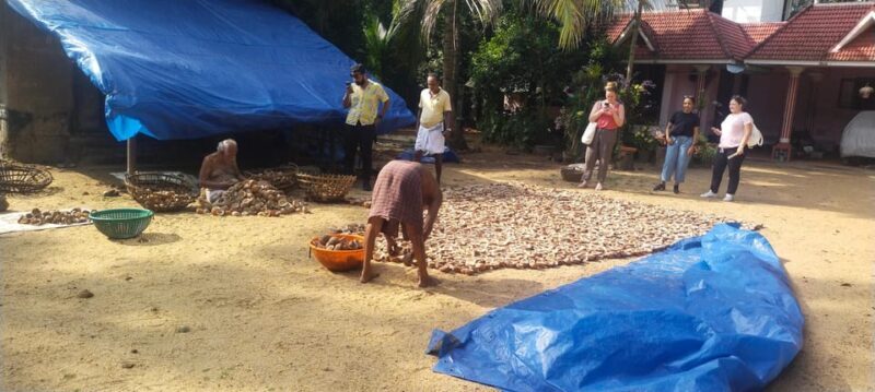 Kochi: Backwater Exploration in Village: Free Pickup & Drop - FAQ