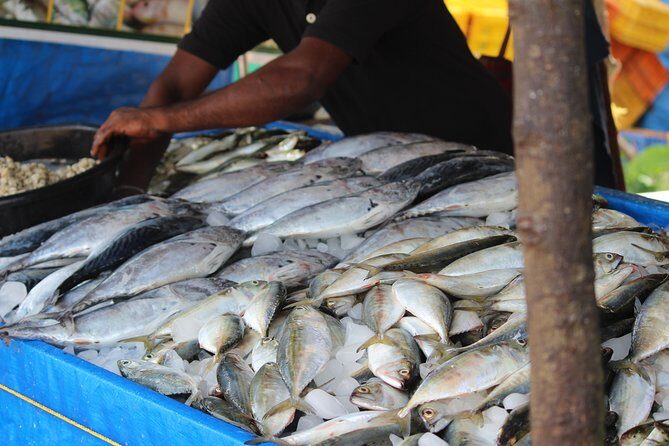 Kochi Fishing Village Excursion. - Exploring the Itinerary