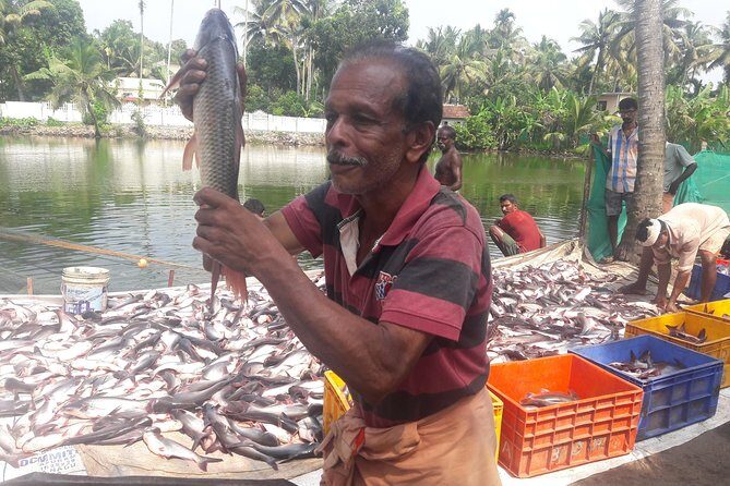 Kochi Fishing Village Excursion. - FAQ