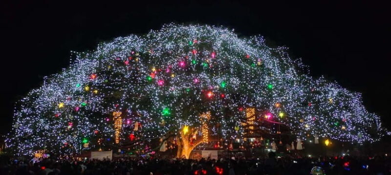 Kochi: Flea & Festive Market - An Informative Guide to the Kochi Flea & Festive Market Tour