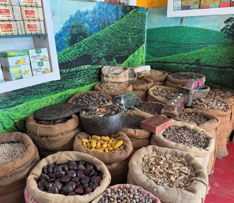 Kochi: Fort kochi Tuk Tuk Tour with Hotel Transfer - Final Thoughts: The Value of a Guided Kohci Experience