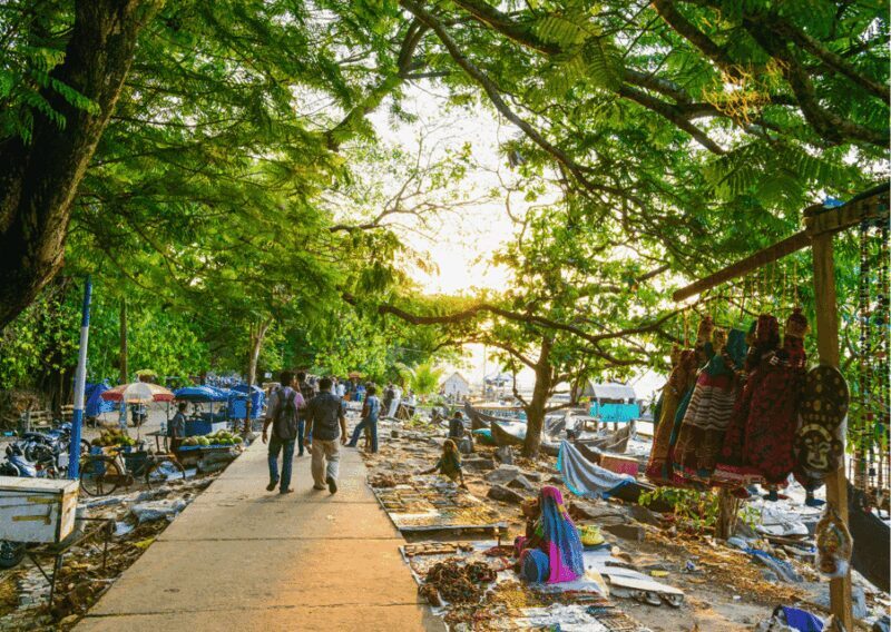 Kochi Insta Photo Walk with Tuk Tuk Ride Experience - Authentic Insights From Other Travelers