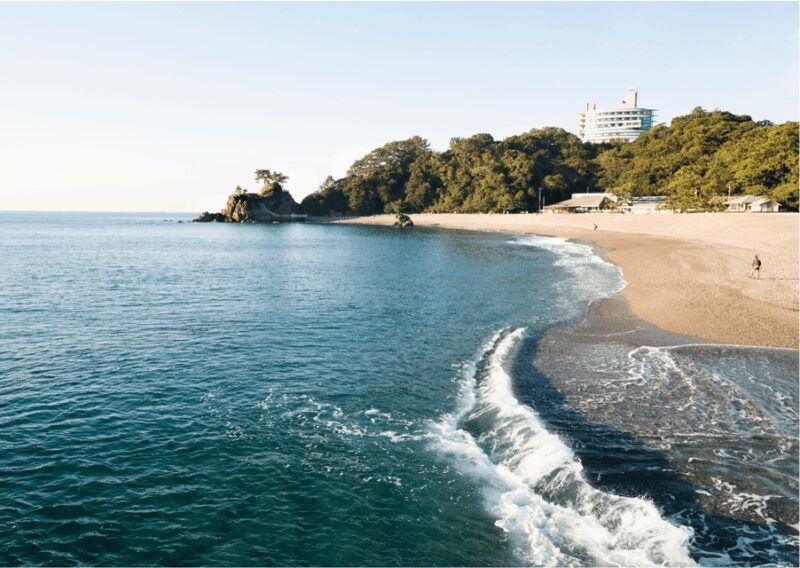 Kochi Insta Photo Walk with Tuk Tuk Ride Experience - Who Would Love This Tour?