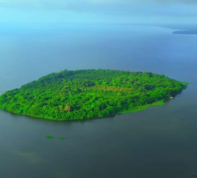 Kochi: Kumarakom Day Trip with Private Shikara Cruise & more - The Practical Details of the Tour