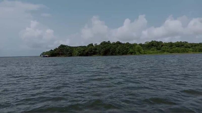 Kochi: Kumarakom Day Trip with Private Shikara Cruise & more - What Makes This Tour Stand Out?