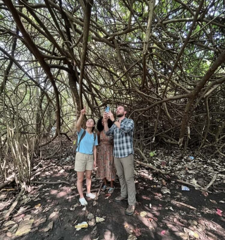 Kochi: Kumarakom Day Trip with Private Shikara Cruise & more - FAQs